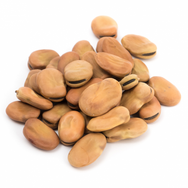 HABAS SECAS C/PIEL EXTRA S/25 KGS - Especias Granado.